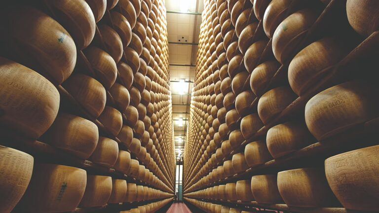 Guida a Parma: cosa vedere al festival del formaggio con Caseifici ...